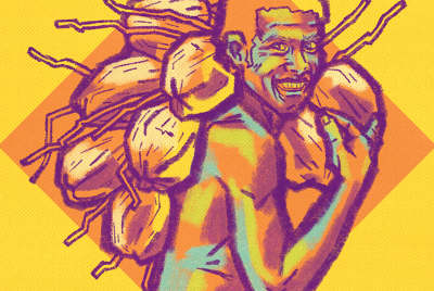 COCOMAN - Rebeca Vonk Marins