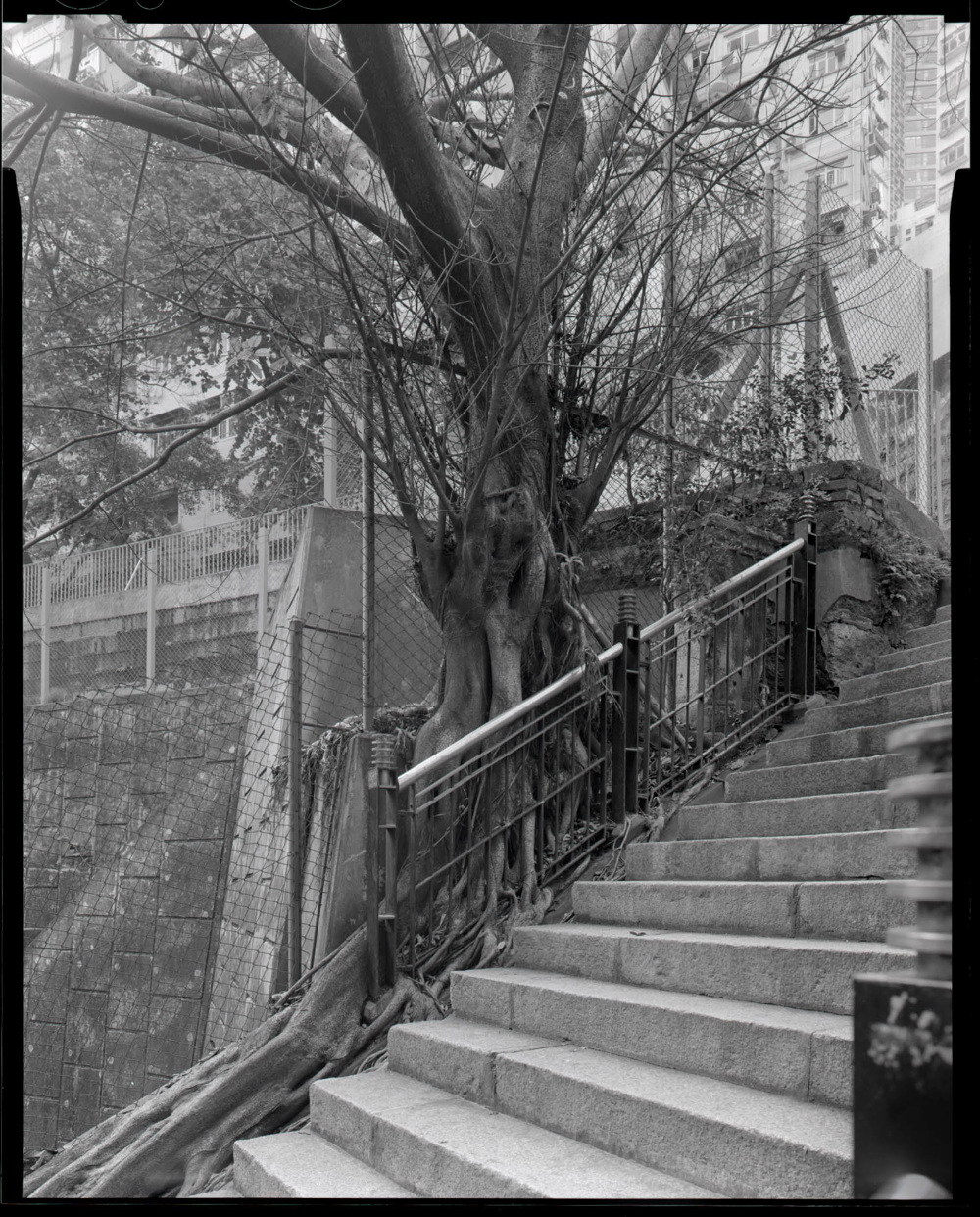 Hong Kong Stair Archive - itinerantphoto
