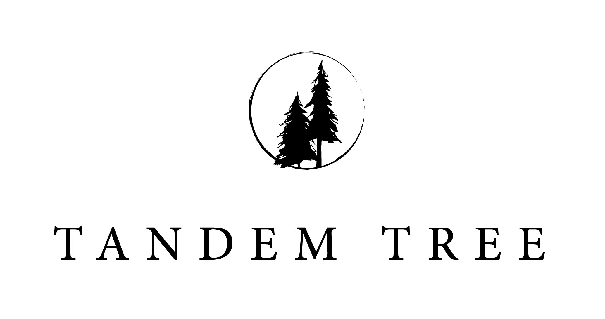 Branding Projects - Ashley Barlow