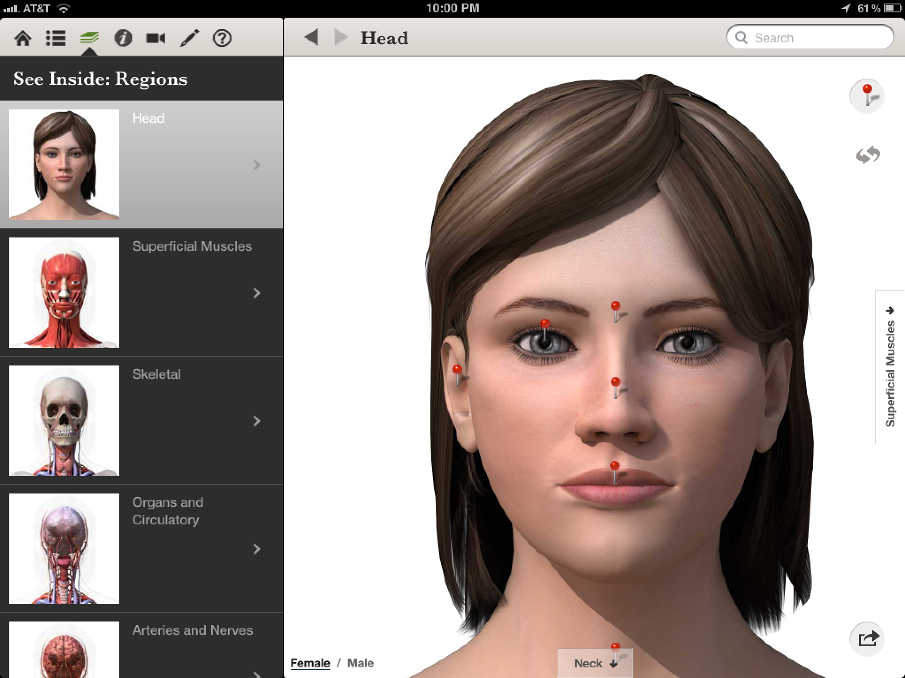 Healthline BodyMaps iPad Application - Hays Consulting
