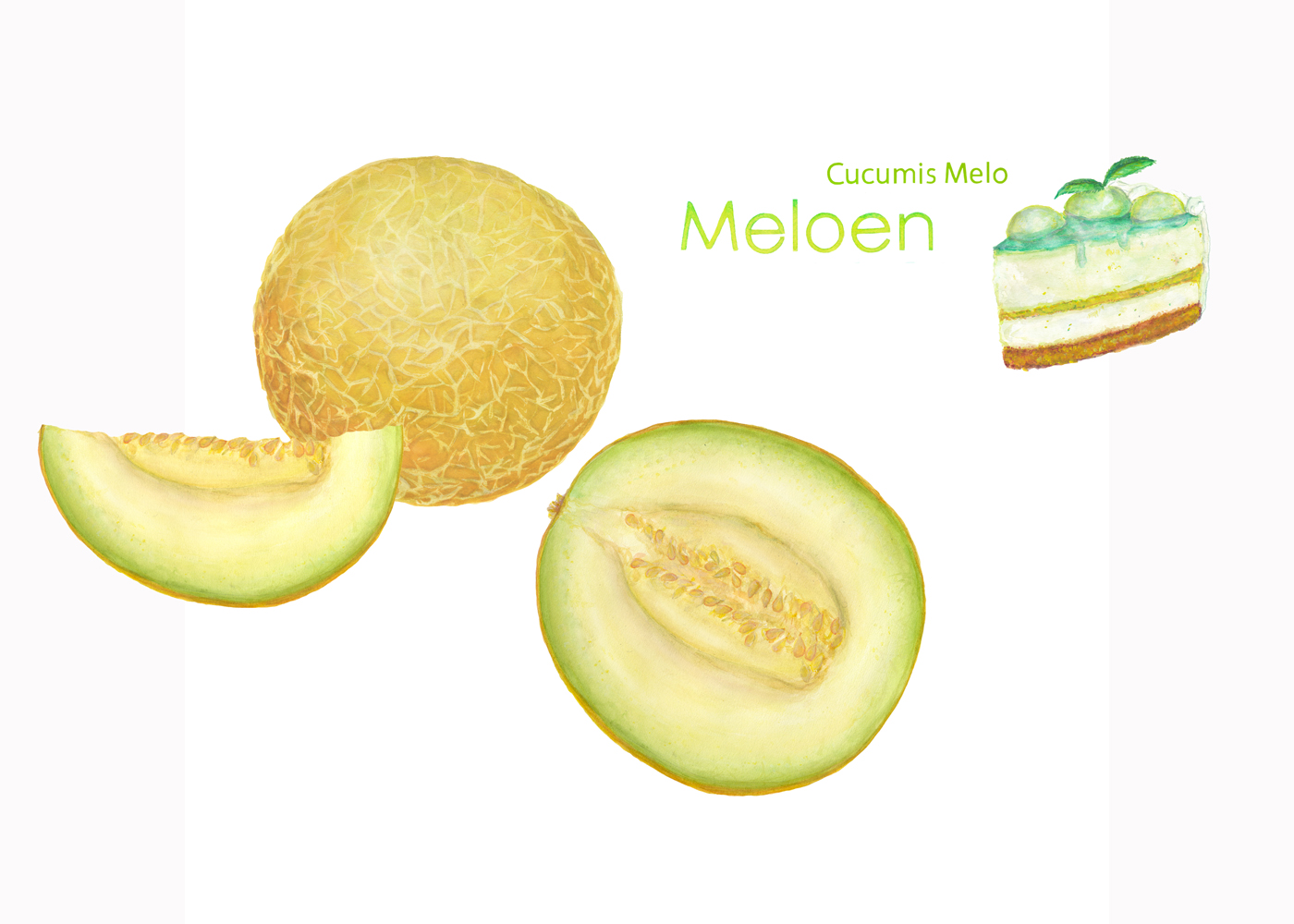 Melon Poster - KristinaDrozdovskaya