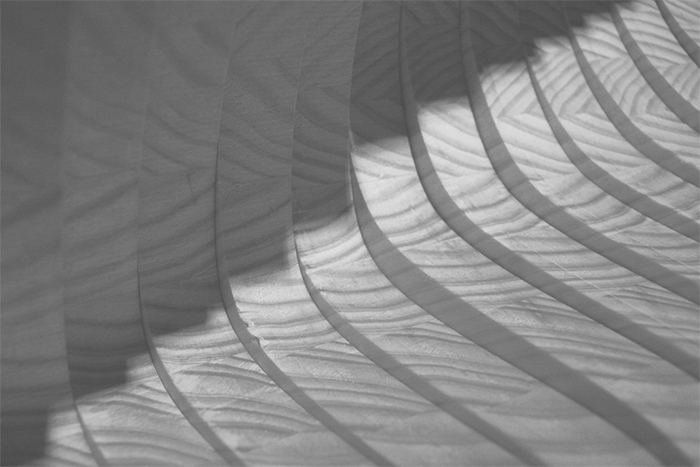 surface breeding - www.belenzahera.net