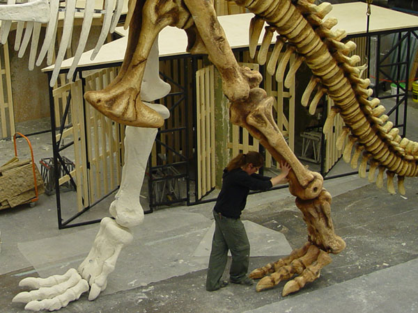 T-REX - Ursina Annen