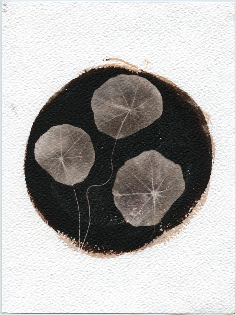 salt prints - Maurício Sapata Photography