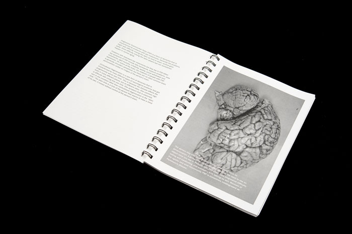 Brain Zine - Chloë Johnston Graphic Design