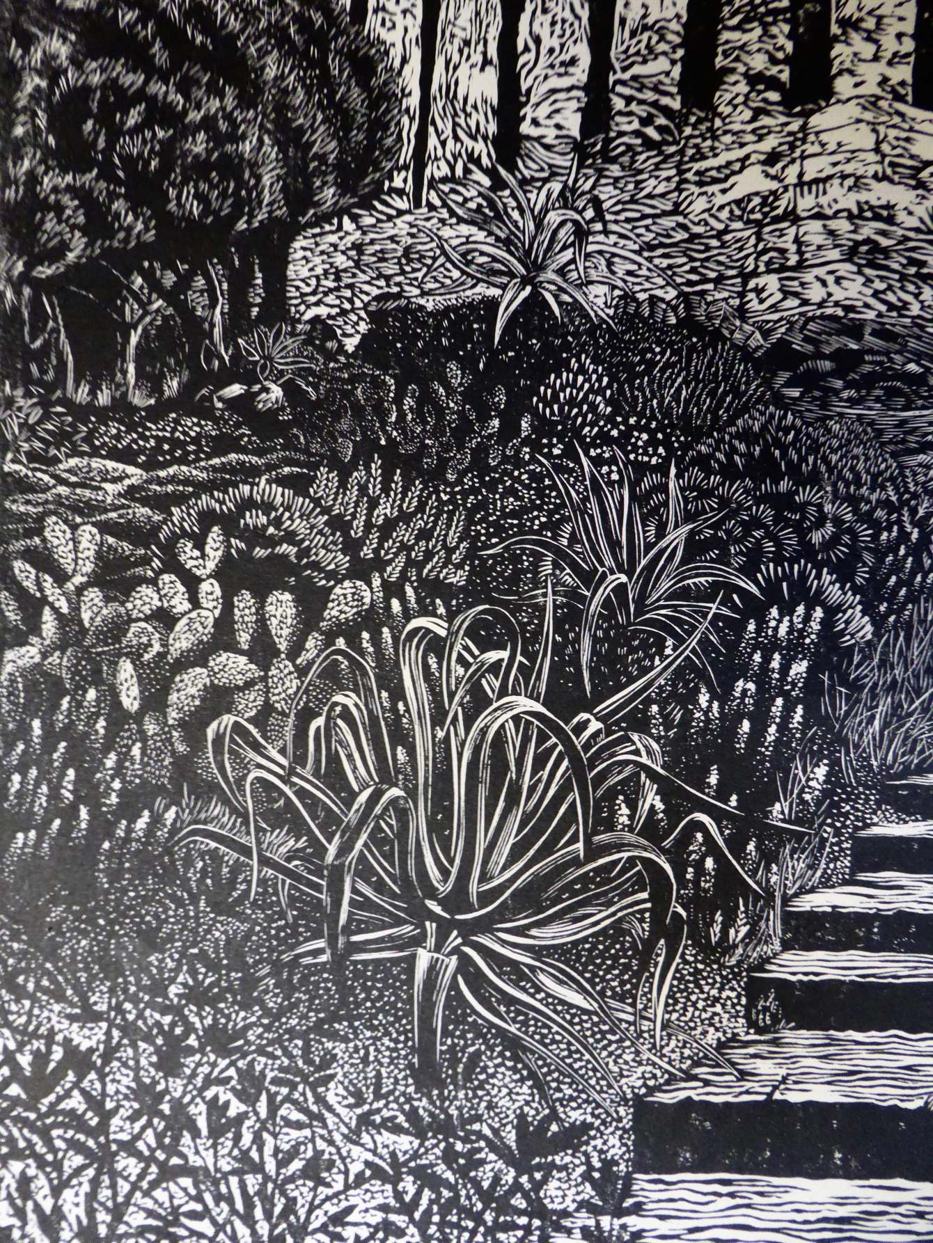 The Temple of Hera and Juno - Lewis Robbins