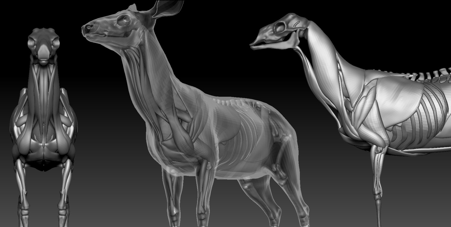 Creatures - PaulLiawReel