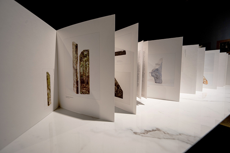 book art: garden state palimpsest - hera/art/words/stories