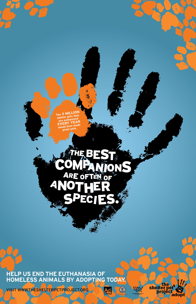 Advocacy Posters Bailey Wells