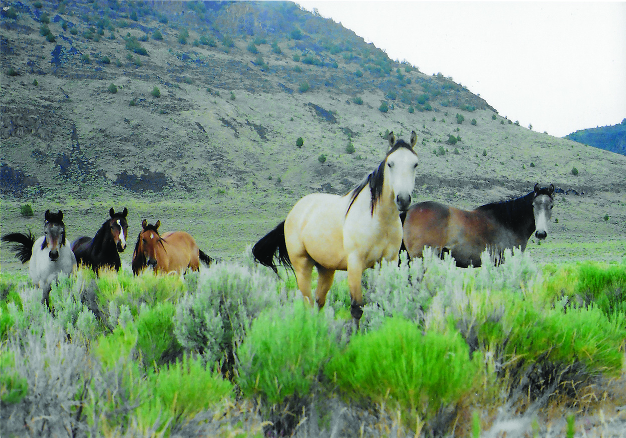 35mm documentary - jordan alyse