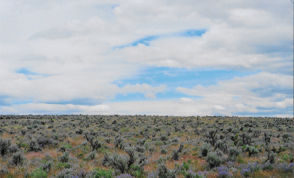 35mm documentary - jordan alyse hamilton