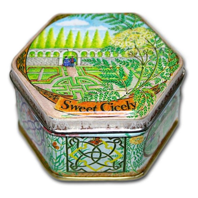 Knot Garden by Joanna Cheese - ian-logan-design-tins