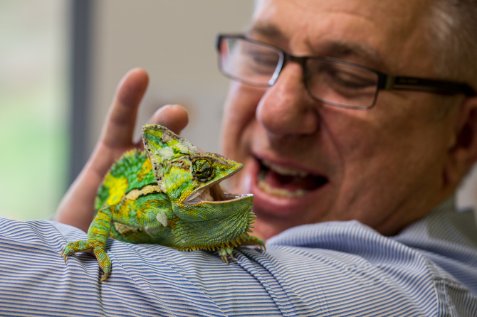 Rothley Primary School Promo - Alex Faulkner