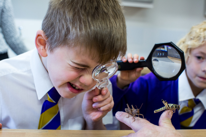 Rothley Primary School Promo - Alex Faulkner