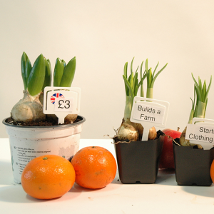 Office Wall Display for UCCF - Steven Feven Graphic Design