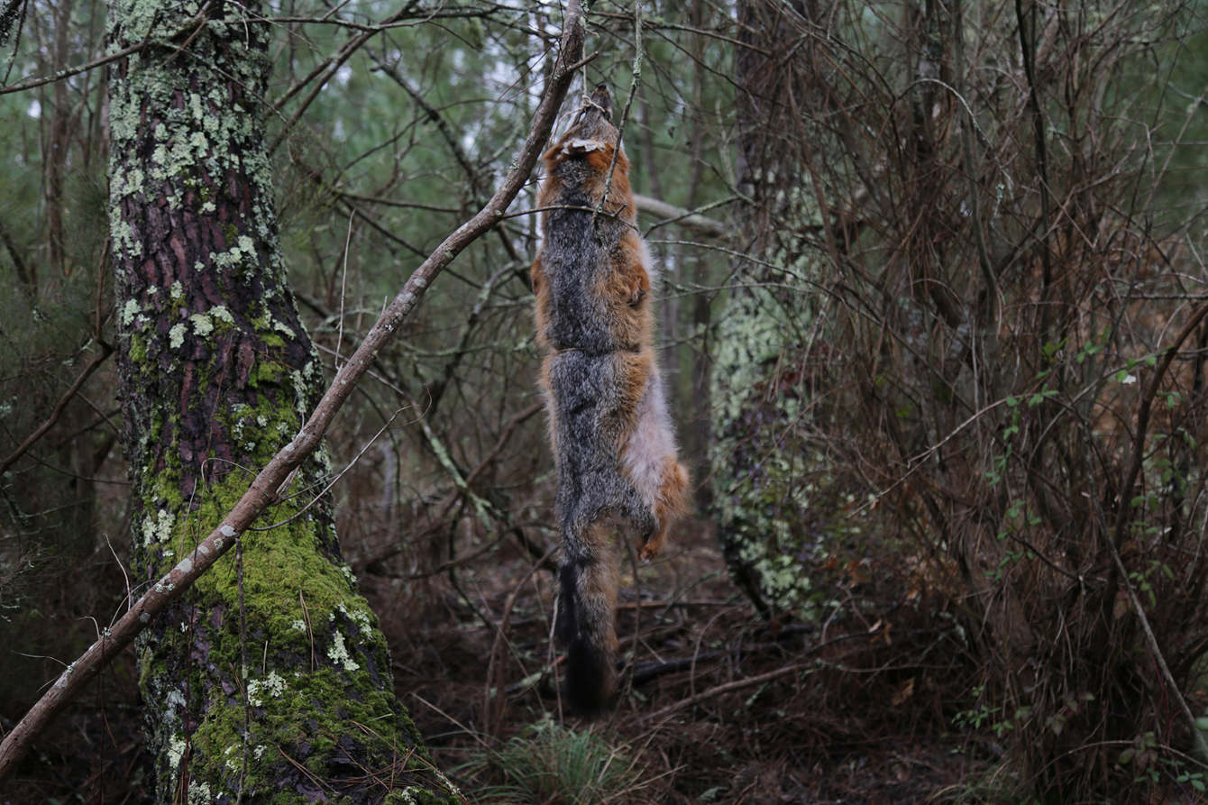 COSMIC FOOD CHAIN - SHIH Yawen