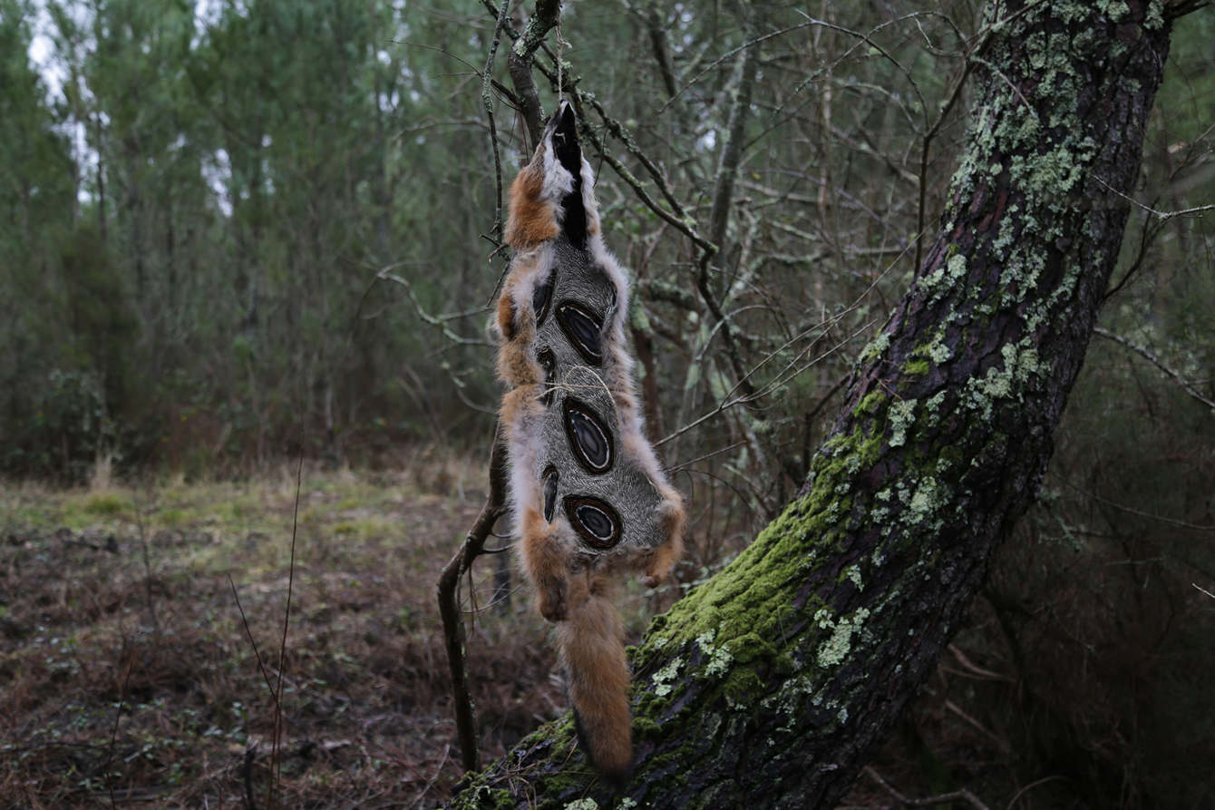 COSMIC FOOD CHAIN - SHIH Yawen