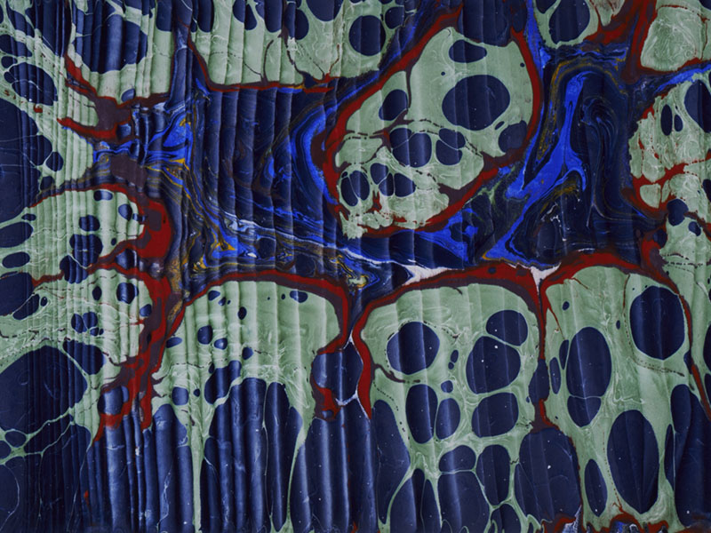 The Artist - Ebru Art