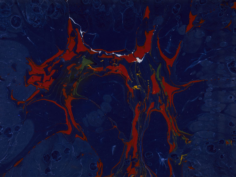 The Artist - Ebru Art