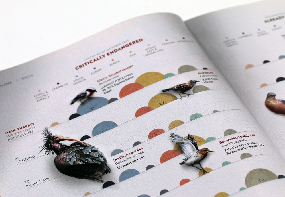 Birds on the brink - www.lucasinfografia.com