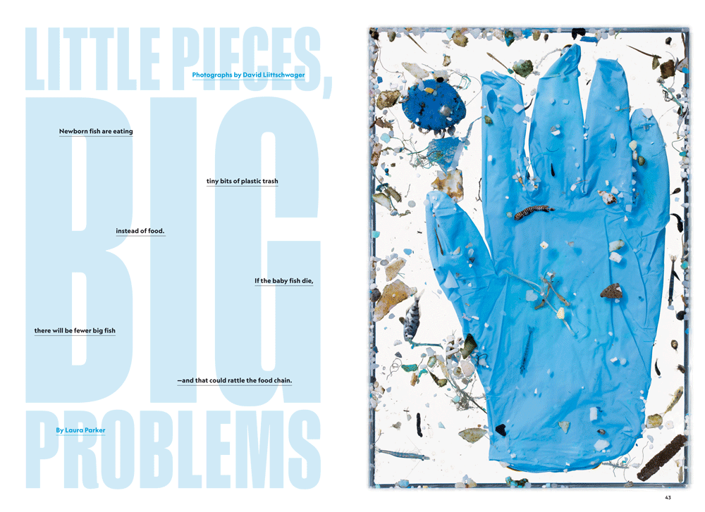 Microplastics - www.lucasinfografia.com