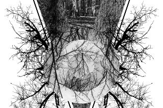 Toothfeather - The Work of Caleb Davis