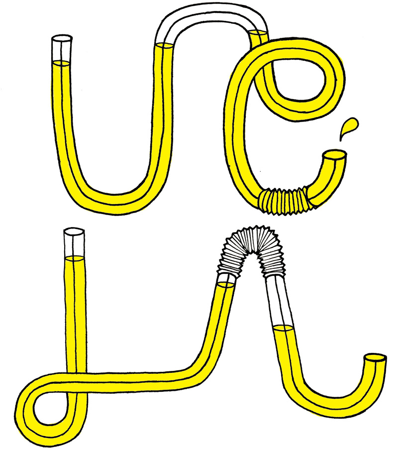 UCLA Summer Institute - canon call