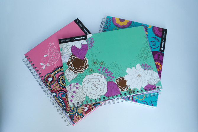 Cuadernos Rhein 2014 - fenafla