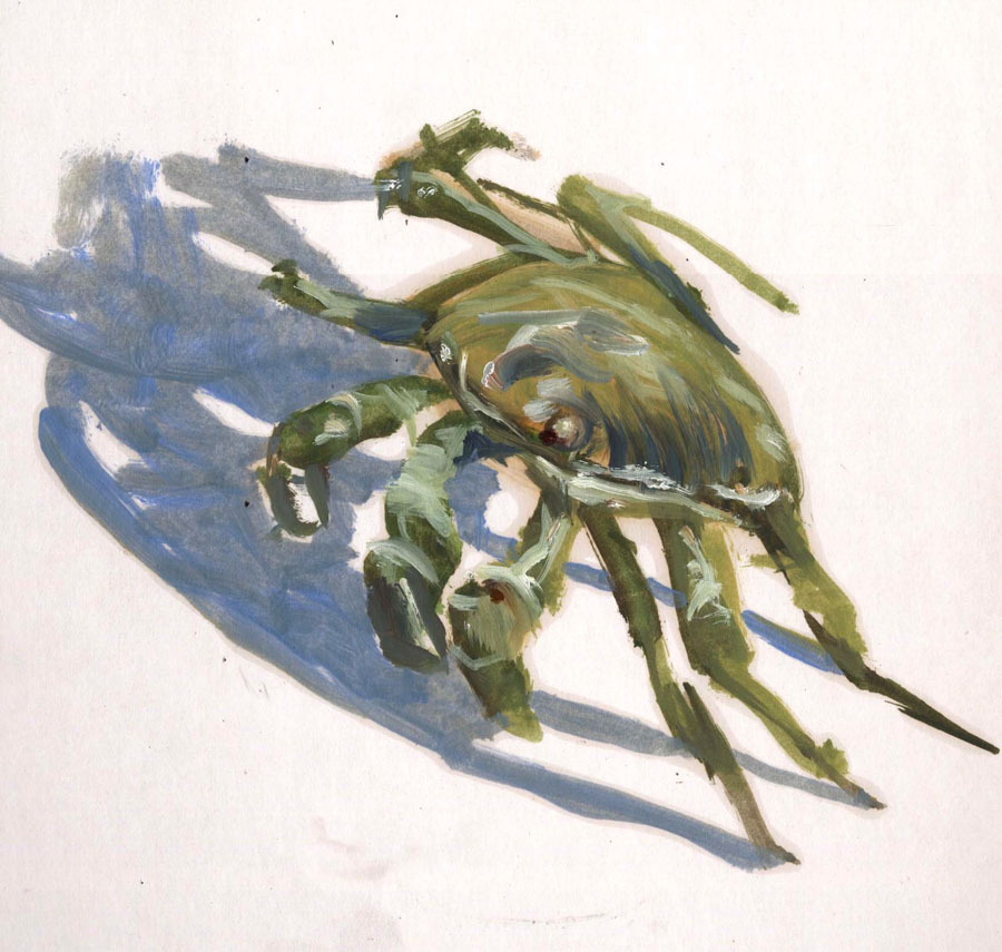 AlterEgo - Robert Hunt