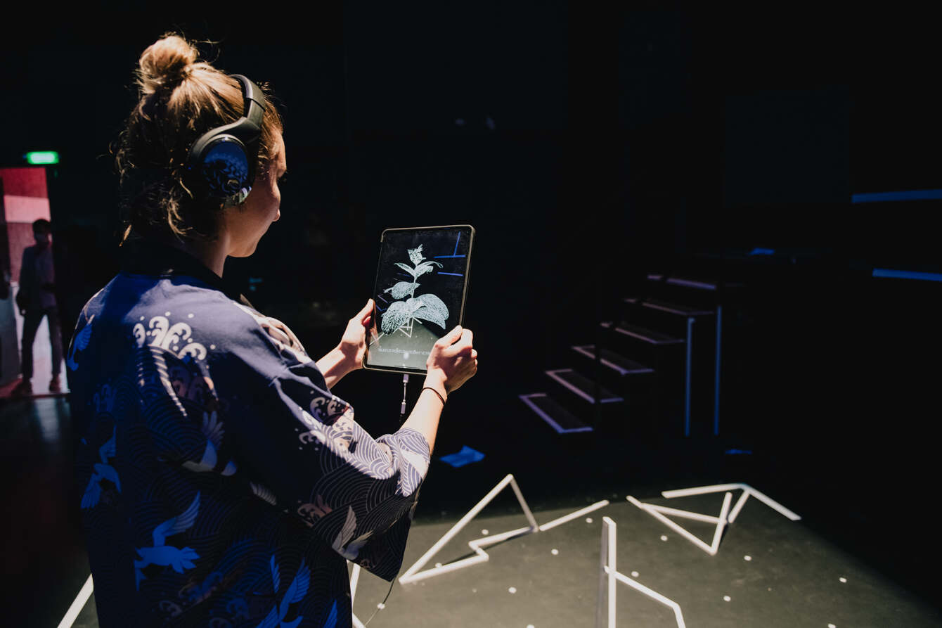 Spring Odyssey Augmented Reality - elise morin