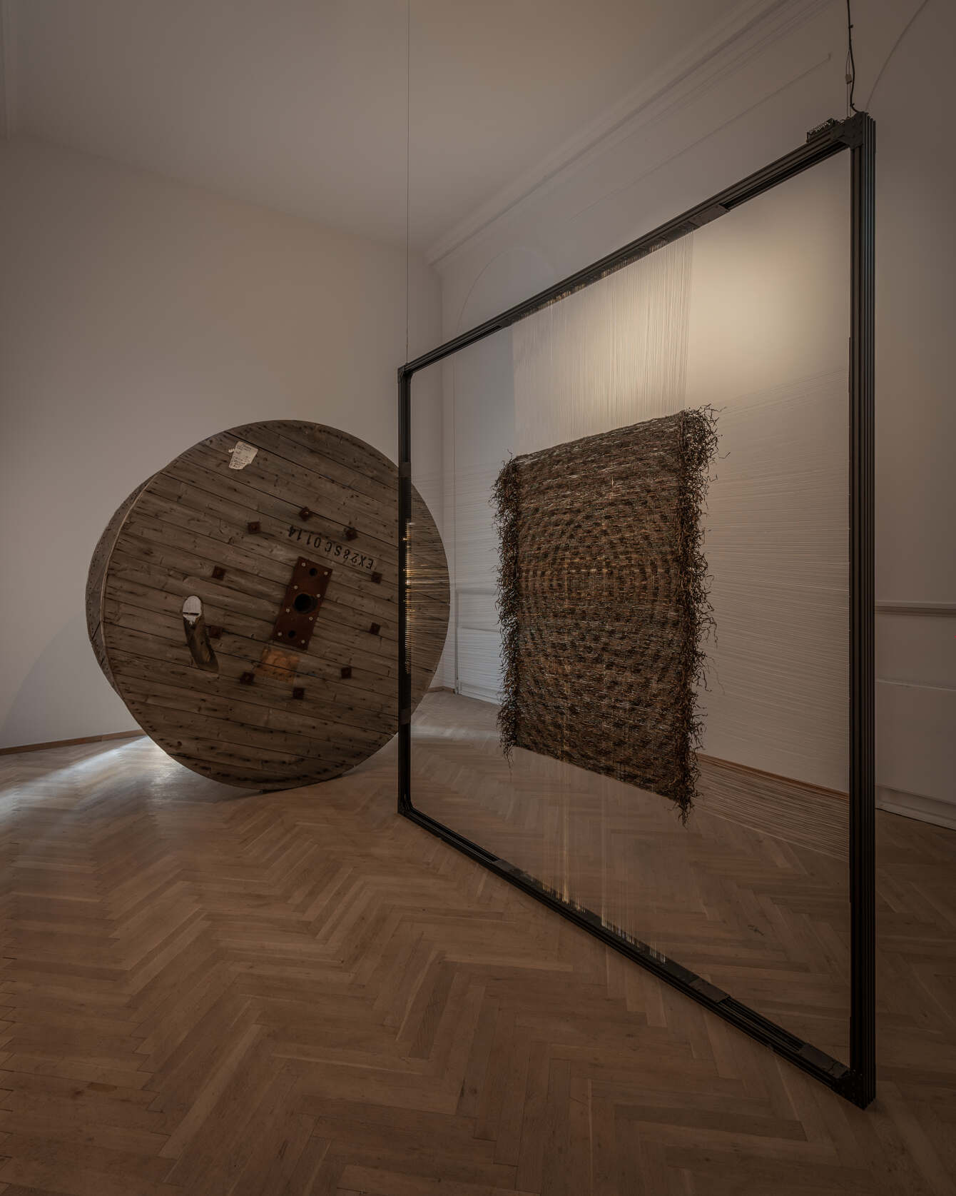 Swarming / Swimming - Honey Biba Beckerlee