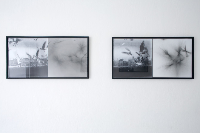 Entangled Realities II - Honey Biba Beckerlee