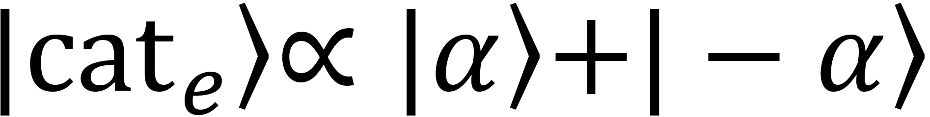 Cat State - Honey Biba Beckerlee