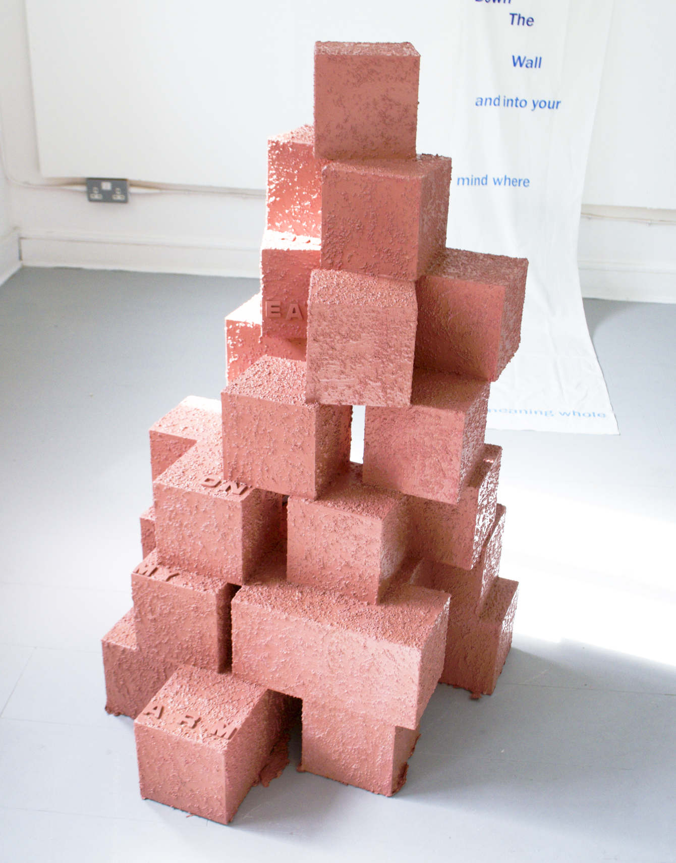 Pixelated Tongue - Niamh Forbes