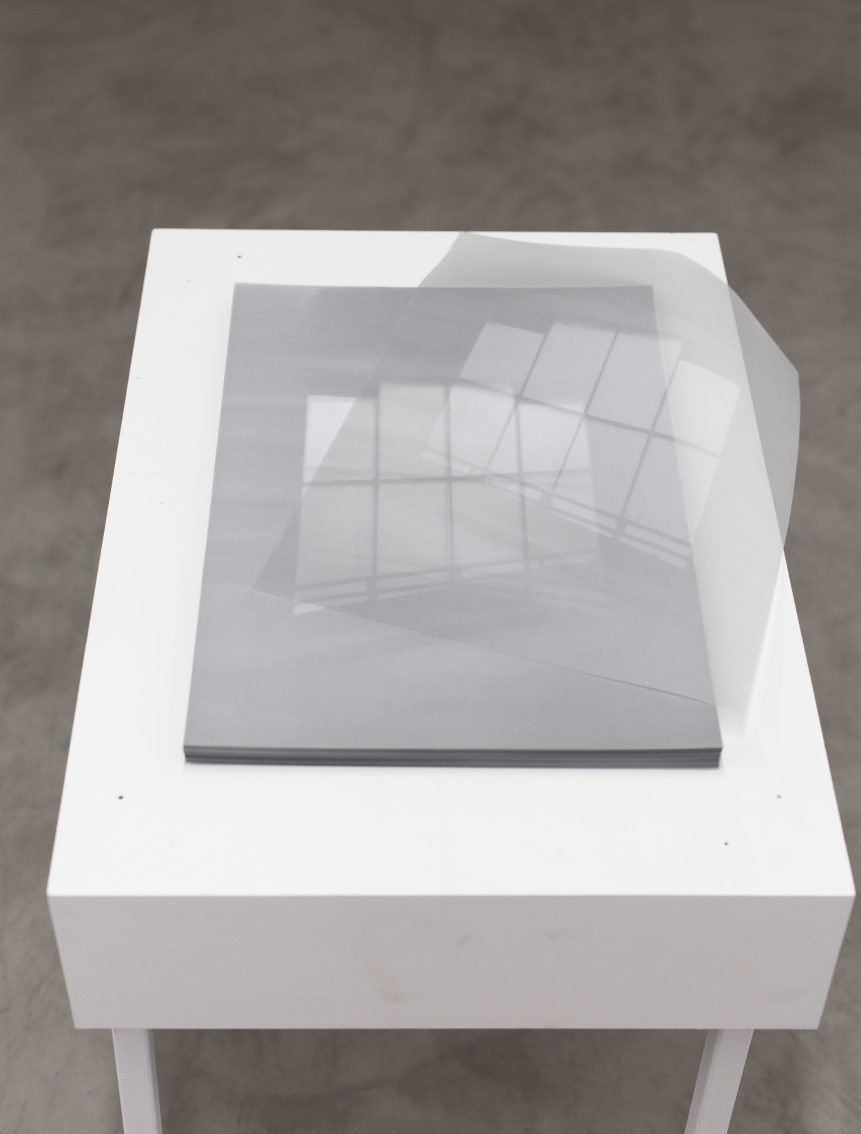 See/through III - Estefanía Landesmann