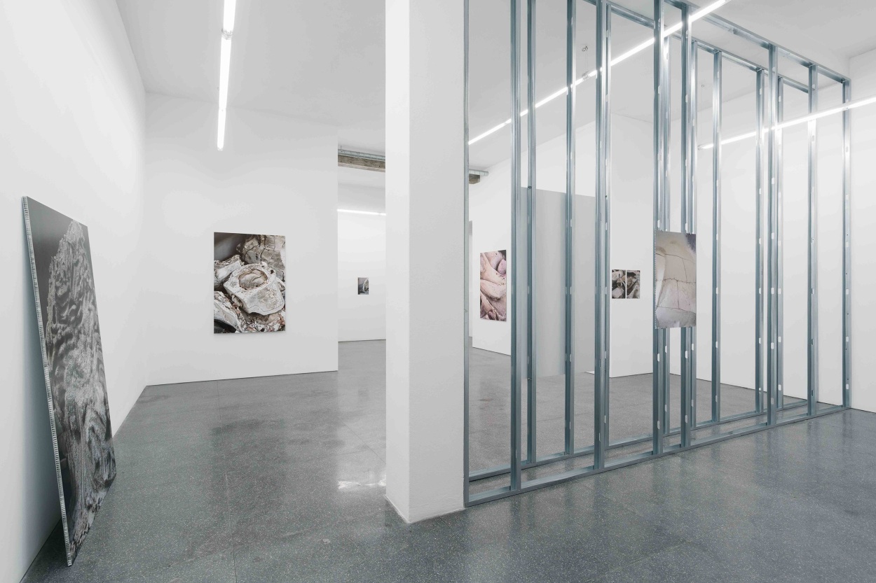 A resonant shell - Lehmann + Silva gallery, Porto - Estefanía Landesmann