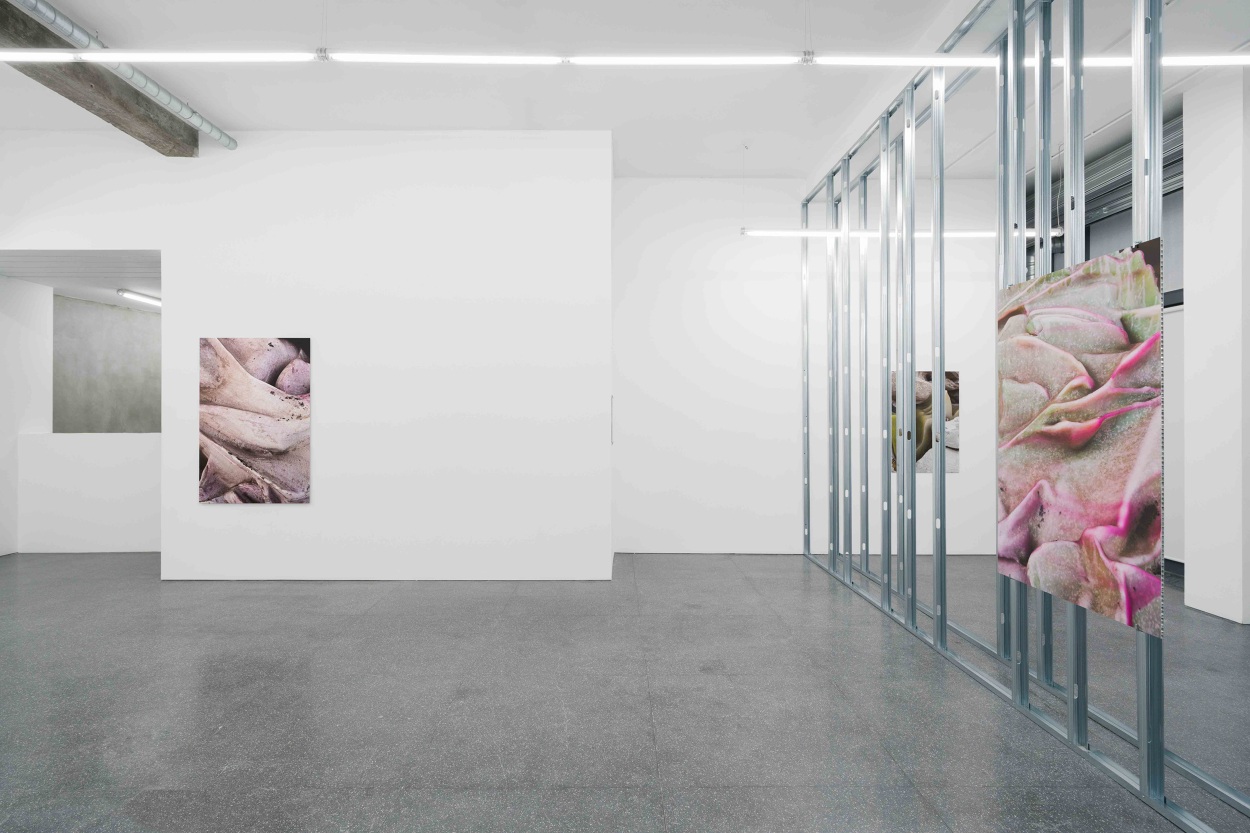 A resonant shell - Lehmann + Silva gallery, Porto - Estefanía Landesmann