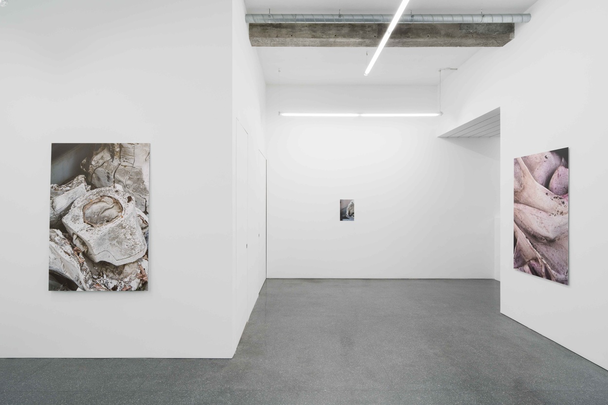 A resonant shell - Lehmann + Silva gallery, Porto - Estefanía Landesmann