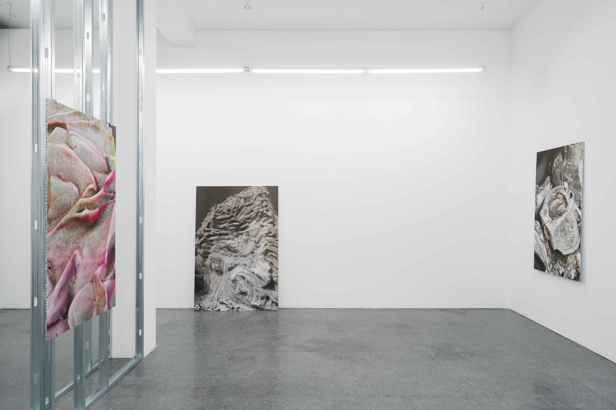 A resonant shell - Lehmann + Silva gallery, Porto - Estefanía Landesmann