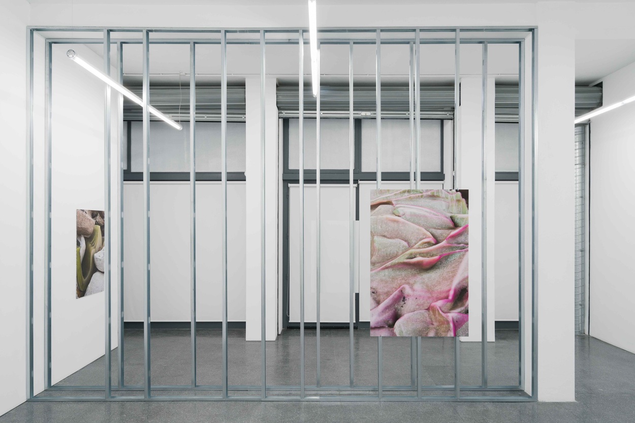 A resonant shell - Lehmann + Silva gallery, Porto - Estefanía Landesmann