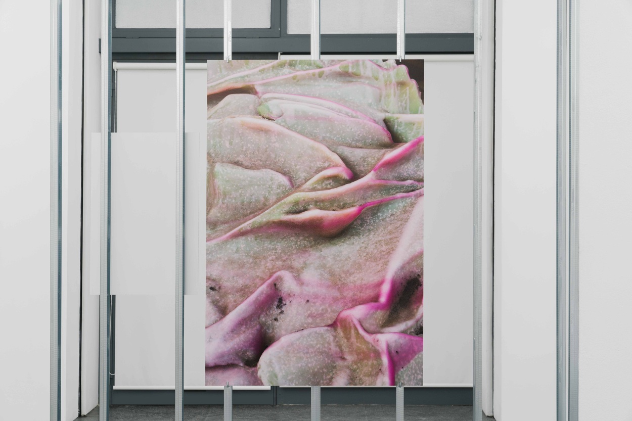 A resonant shell - Lehmann + Silva gallery, Porto - Estefanía Landesmann