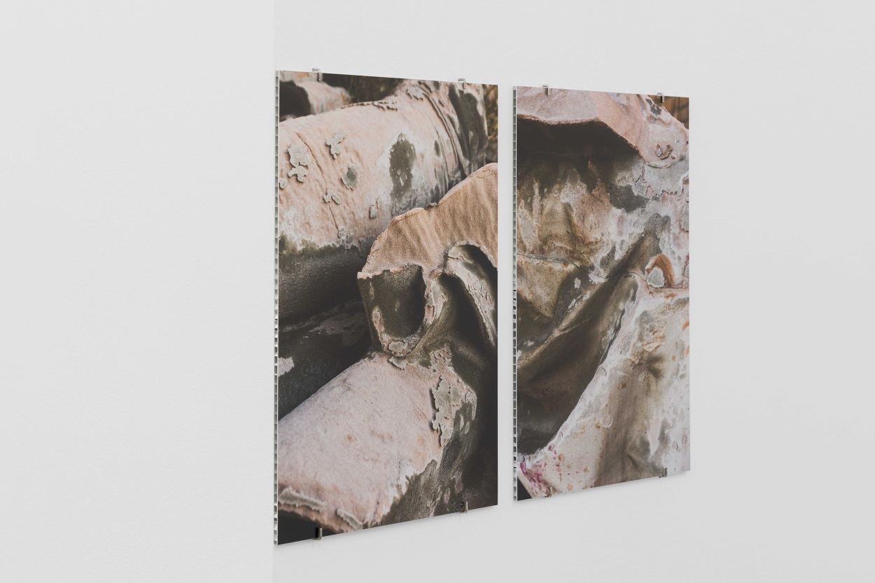 A resonant shell - Lehmann + Silva gallery, Porto - Estefanía Landesmann