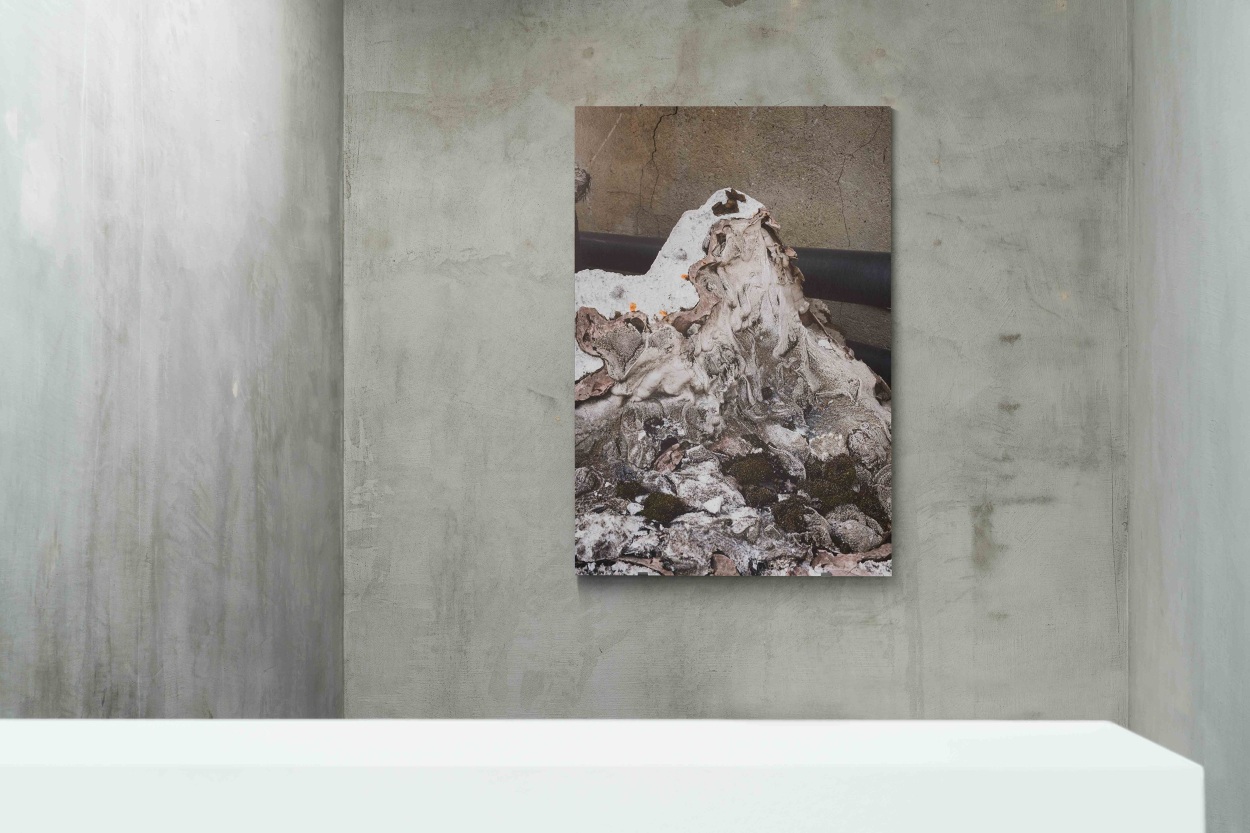 A resonant shell - Lehmann + Silva gallery, Porto - Estefanía Landesmann