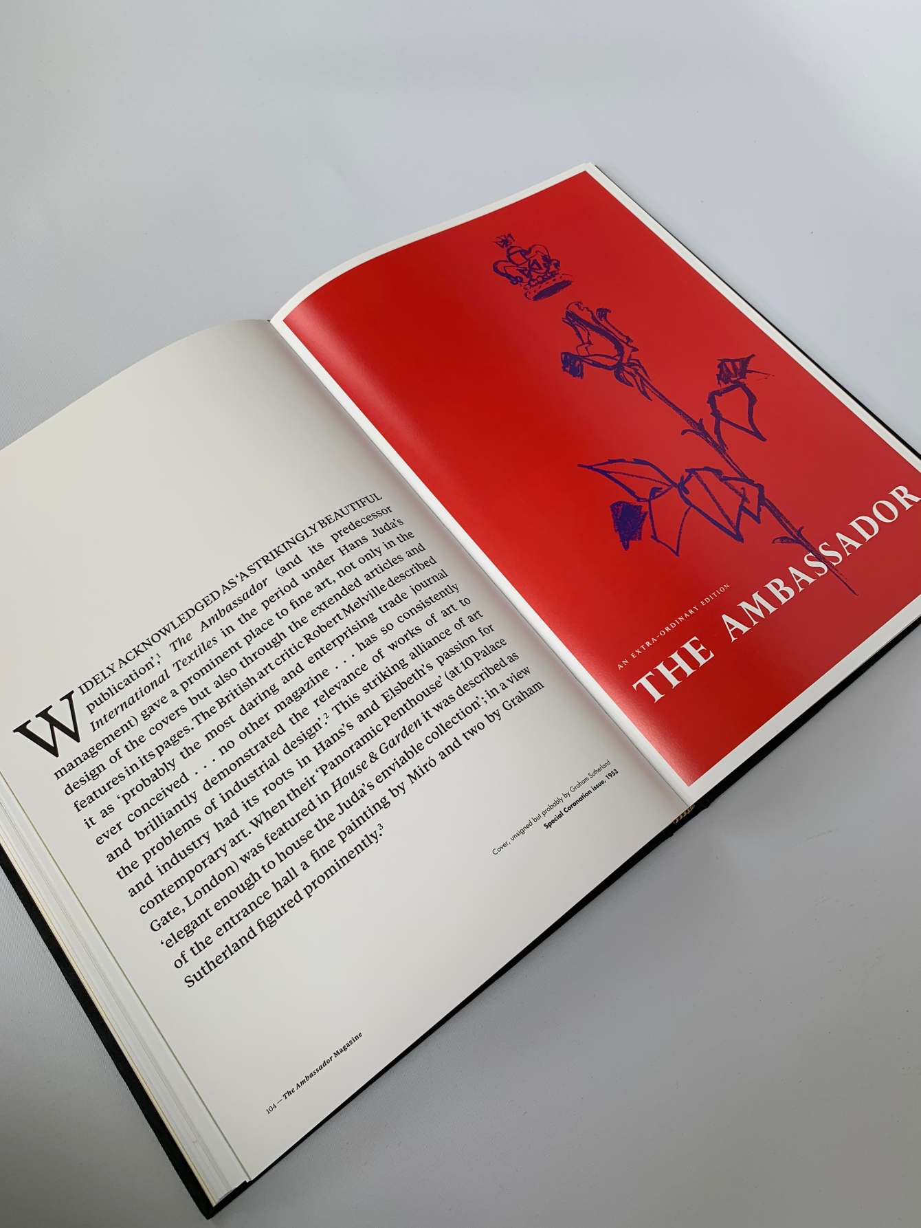 The Ambassador Magazine - lizzie b design