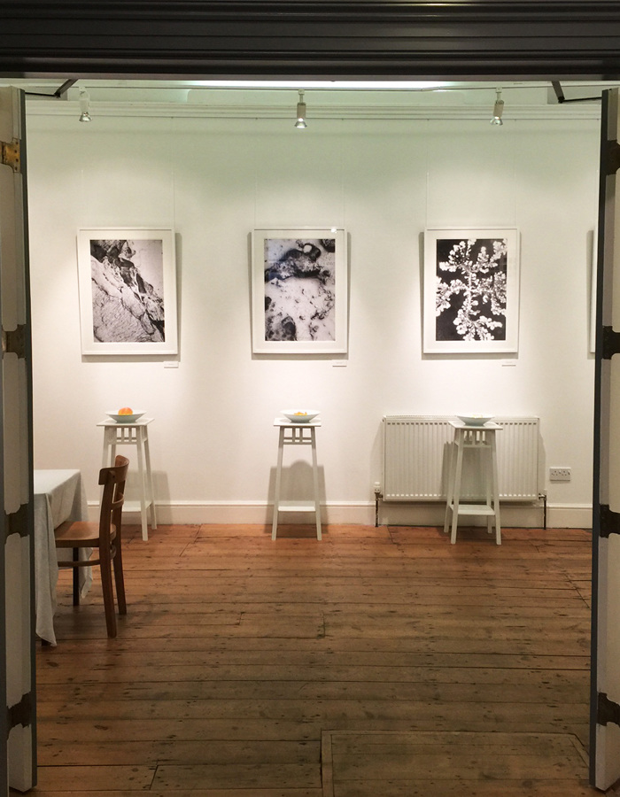 Visualising: Taste - Jessica Landor