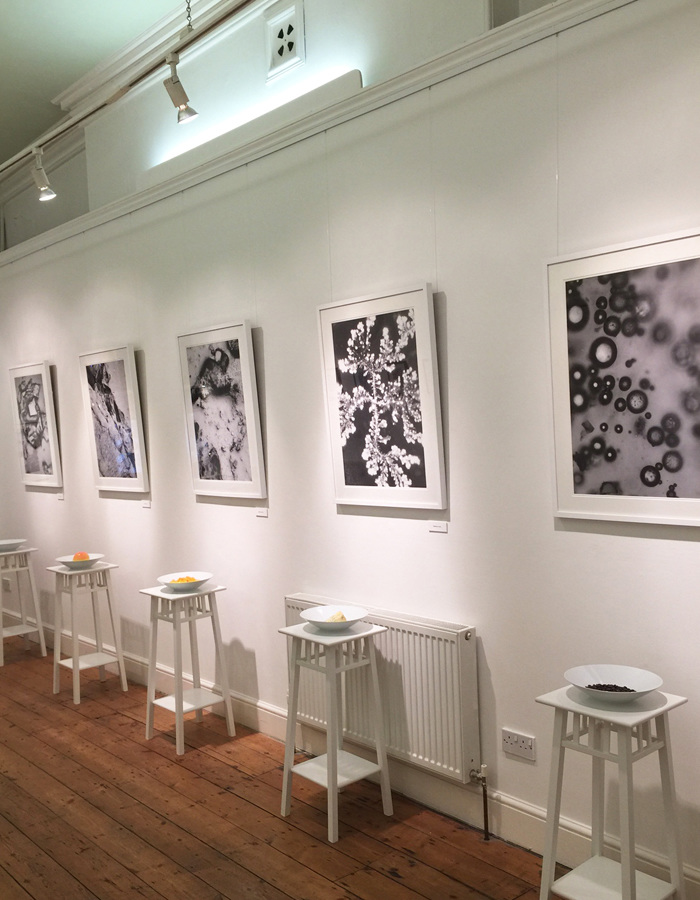 Visualising: Taste - Jessica Landor