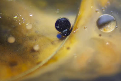 Ink - Jessica Landor