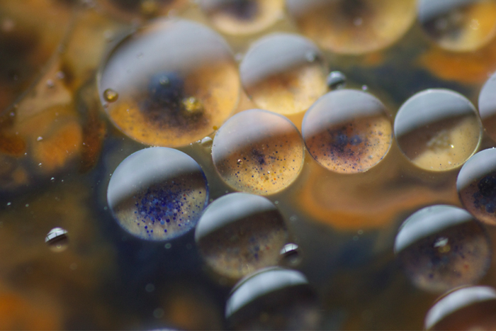 Ink - Jessica Landor