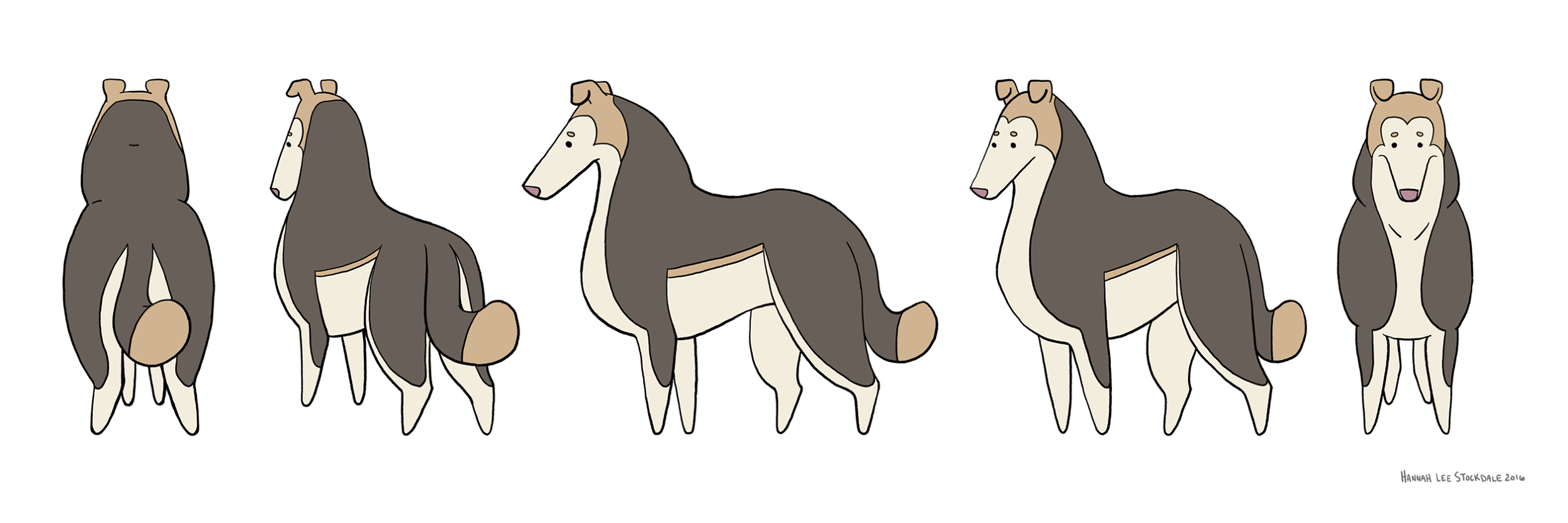 collie model sheet - Hannah Lee Stockdale