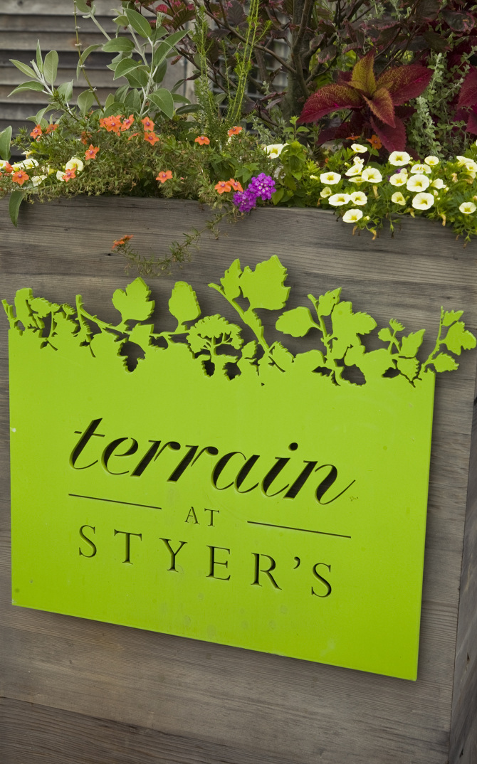 Terrain - Bird and Banner